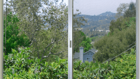 how to count windows | The Naturally Clean Co