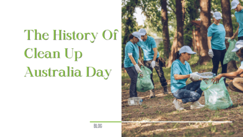 The History of clean up Australia day | The Naturally Clean Co