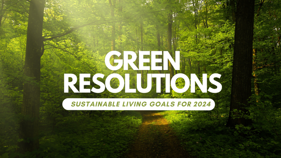 Green Resolutions: Sustainable Living Goals for 2024 | The Naturally ...
